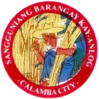 City Government of Calamba
